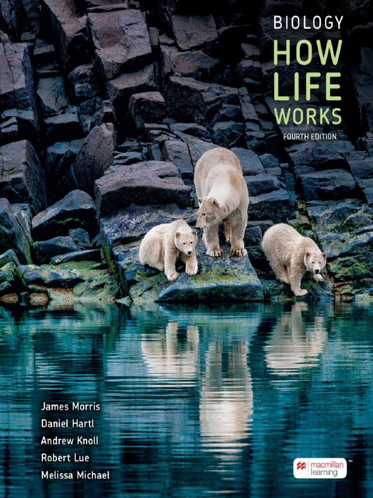 Biology How Life Works by Morris (4th Edition) | PDF