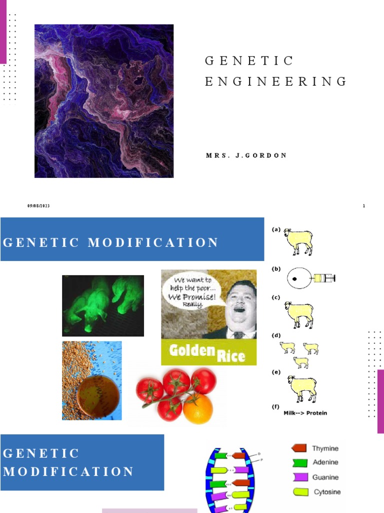 Genetic Engineering Presentation - Student | PDF | Dna | Cloning