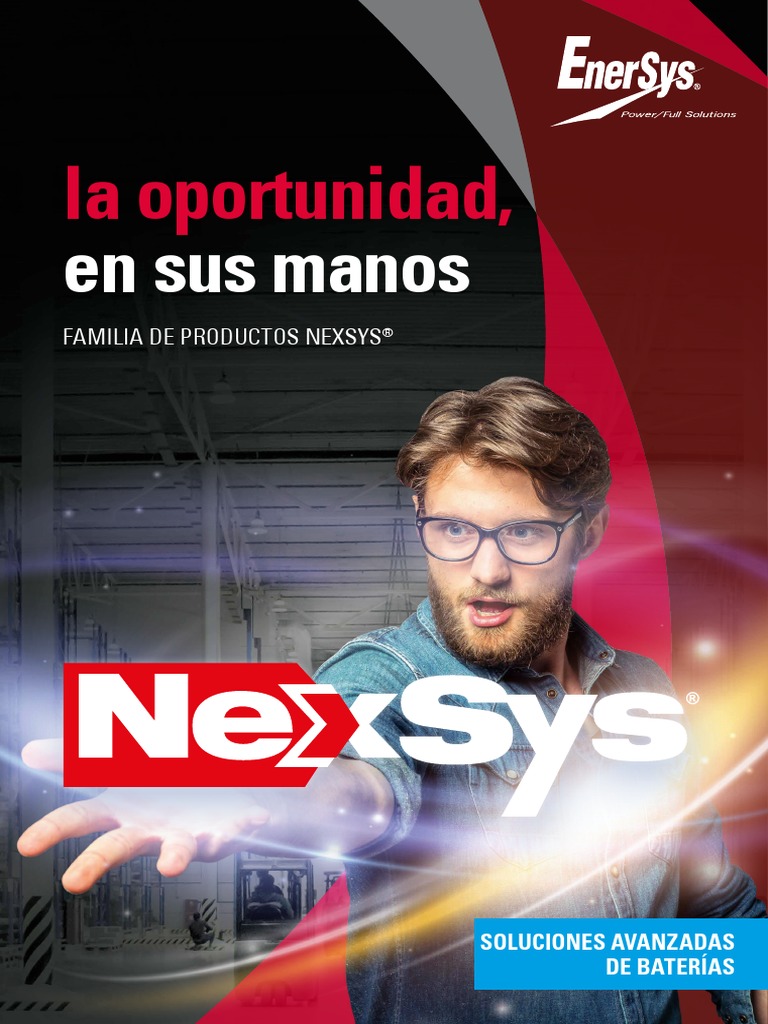 Nexsys Sales e | PDF | Cargador de batería | Batería recargable