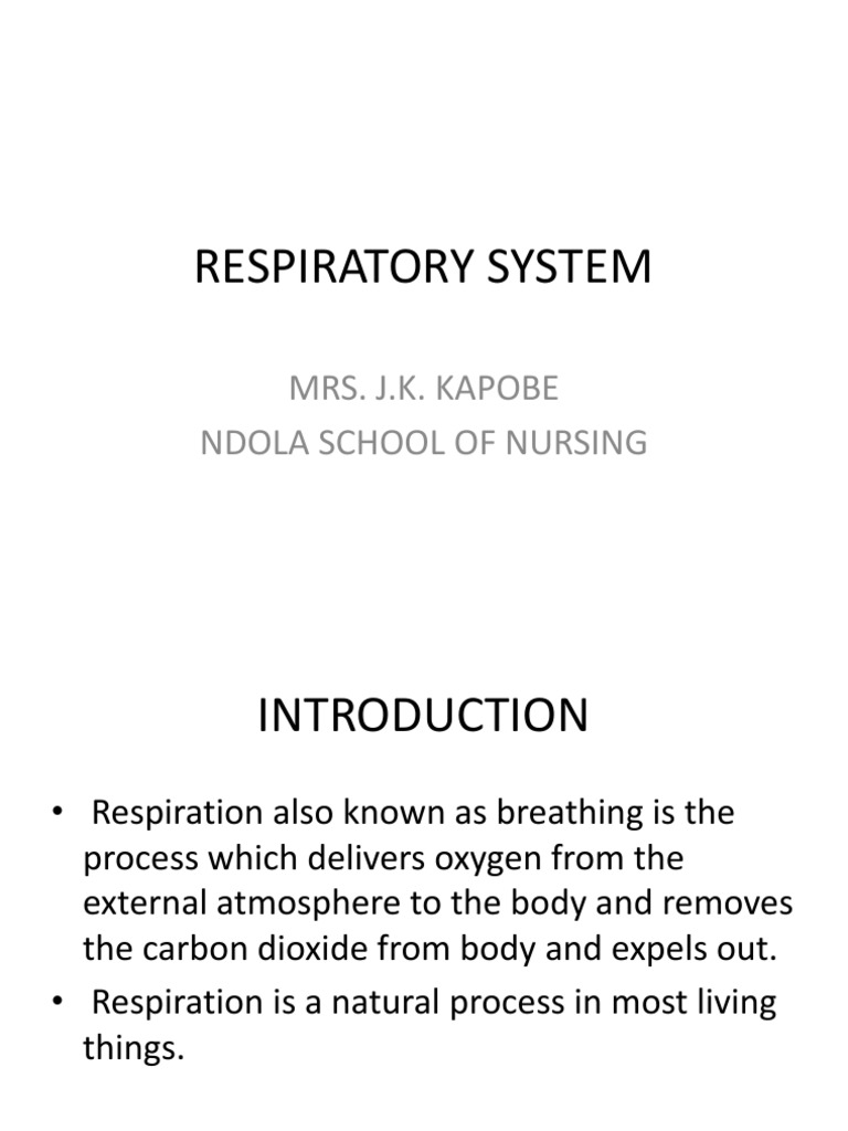 Respiratory System Download Free Pdf Respiratory Tract Lung