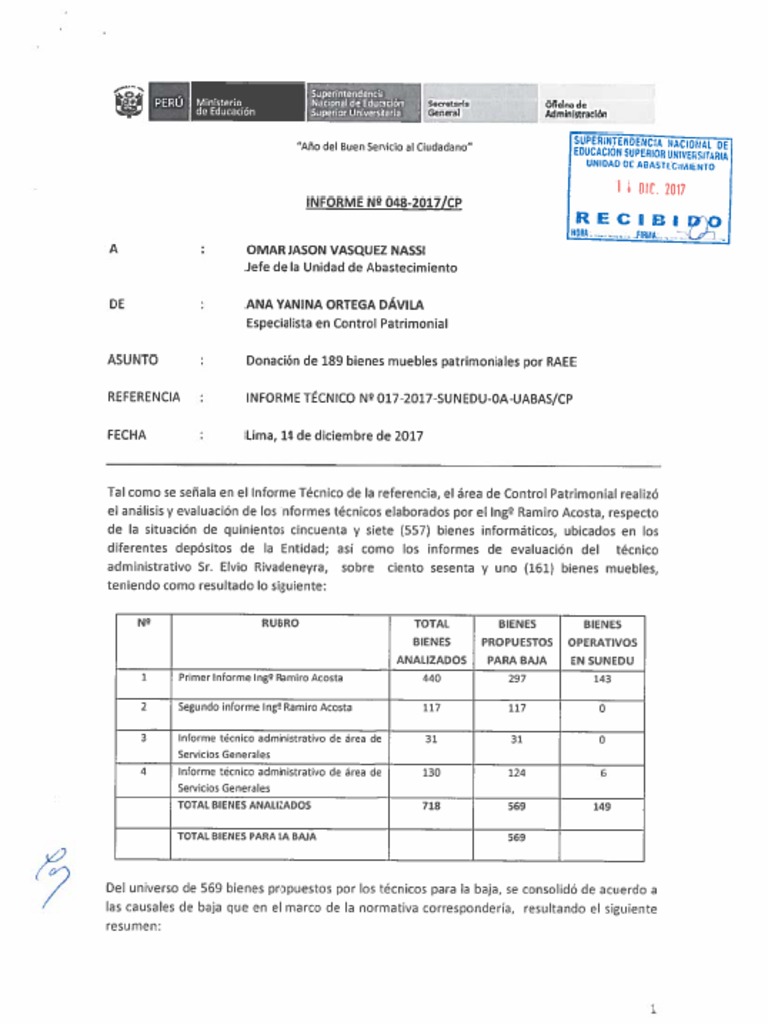 Informe Tecnico 189 Raee para Pagina Web | PDF