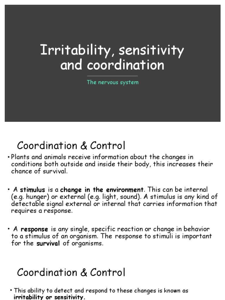 Grade 11 Irritability, Sensitivity and Coordination | PDF | Neuron | Axon
