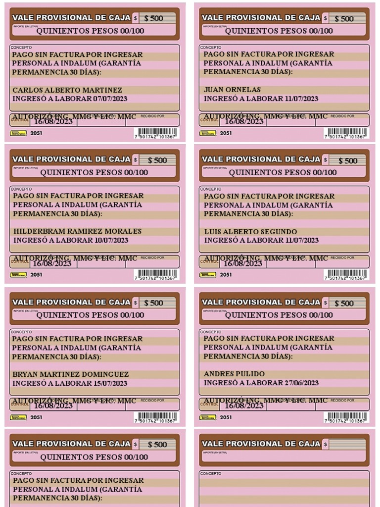 Formato Vale Provisional de Caja Chica | PDF