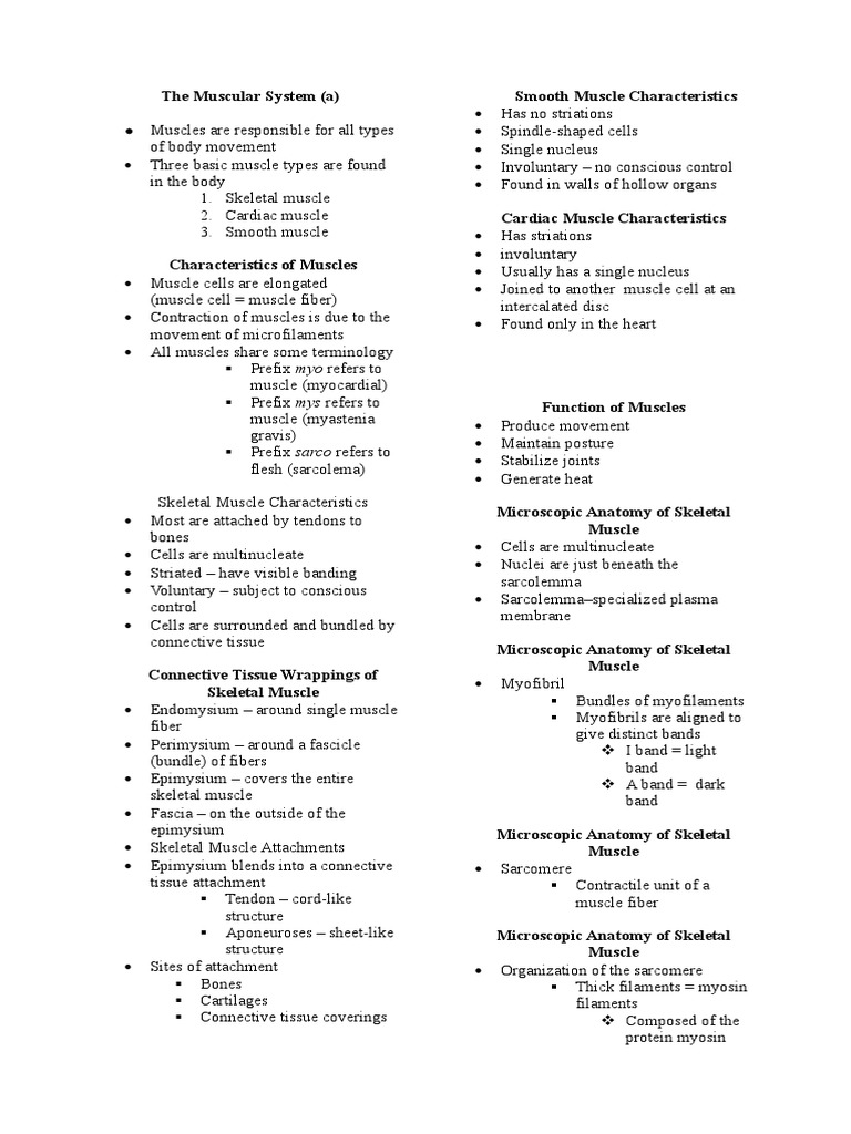 Earth and Life Science | PDF | Skeletal Muscle | Artery