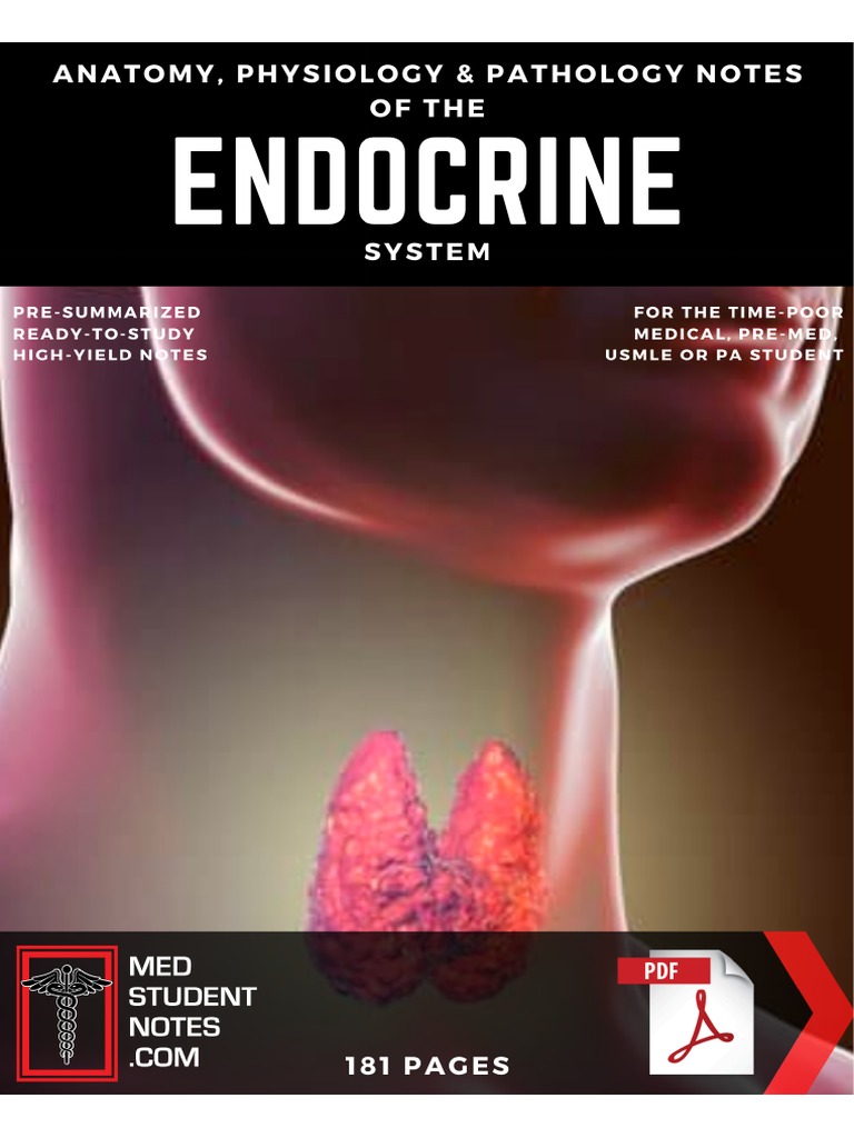 Endocrine Notes - All in One File | PDF