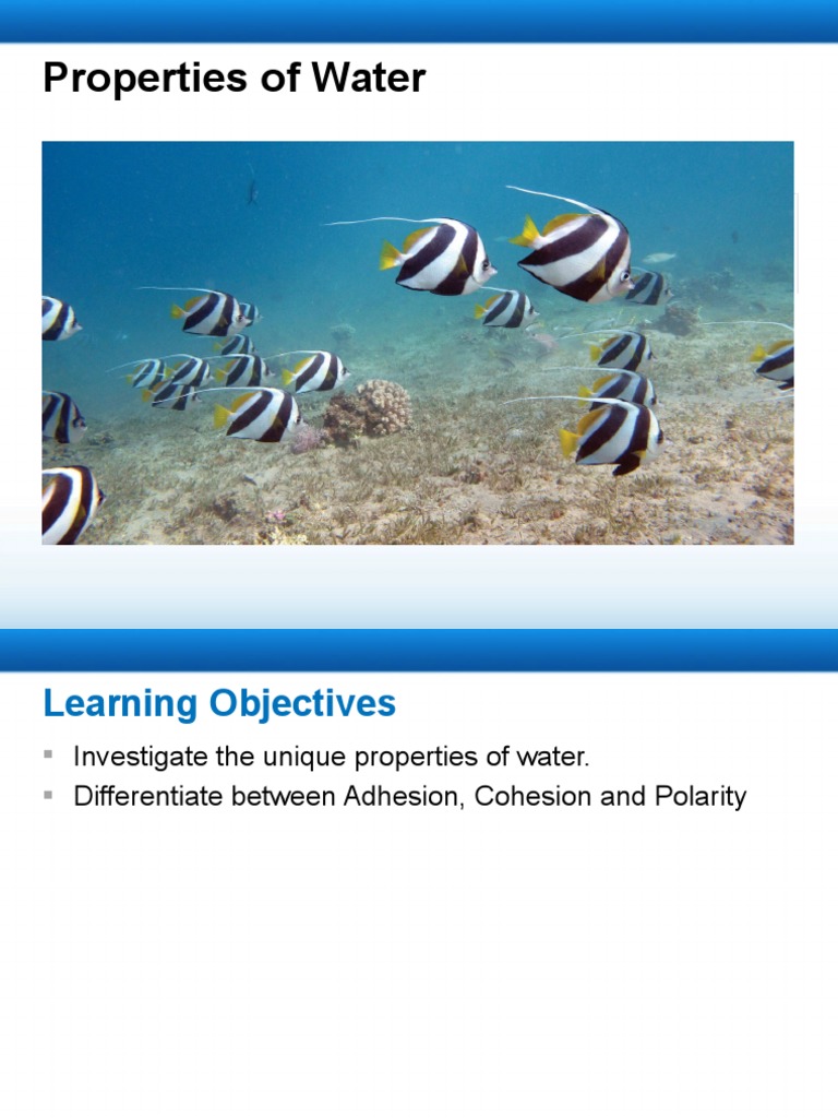 Chapter 2 Lesson 2 Properties of Water | PDF | Water | Ph