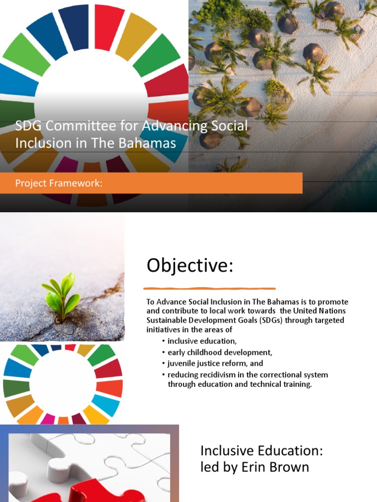 SDG Social Inclusion Project Framework | PDF