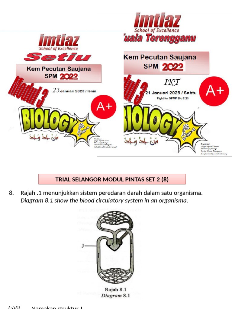 Imtiaz Ikt Dan Iset Trial SPM 2022 Topik Pilihan Modul 3 | PDF