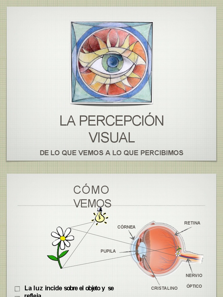 Percepcion Visual | PDF | Percepción visual | Percepción