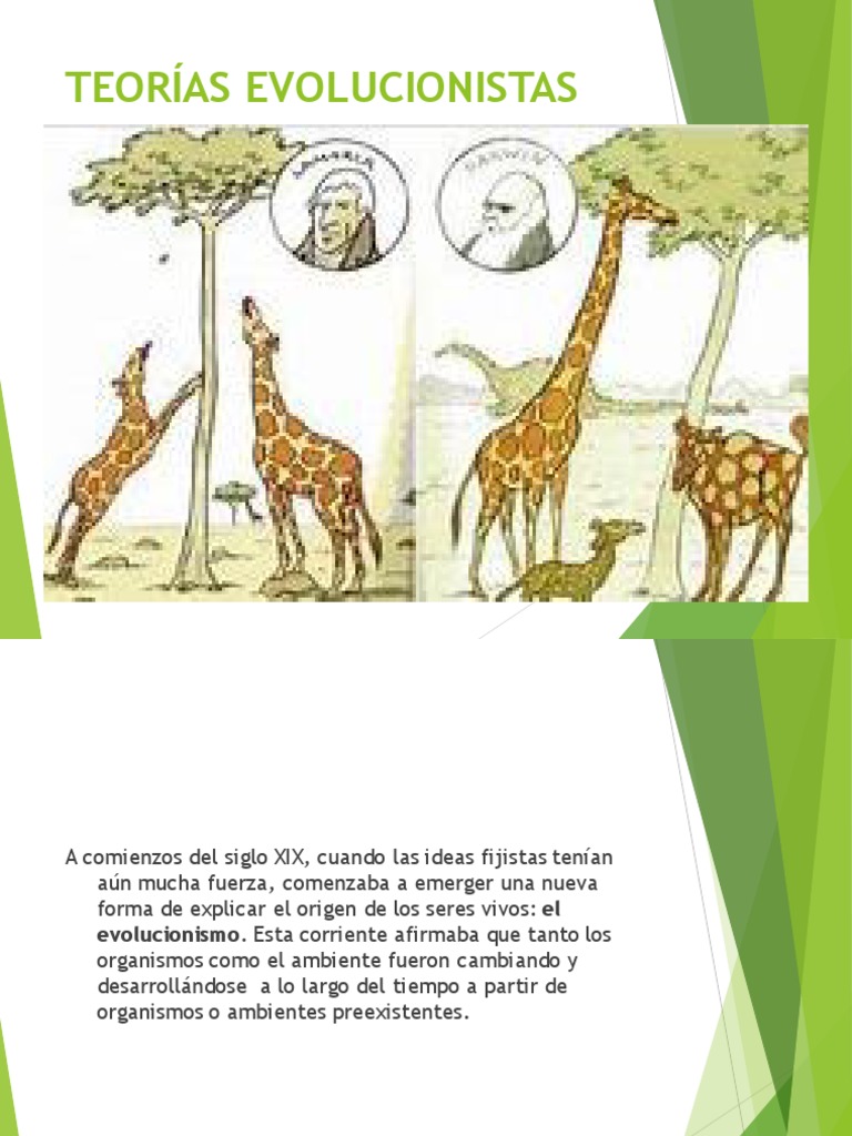 Teorias Evolucionistas | PDF | Evolución | Charles Darwin