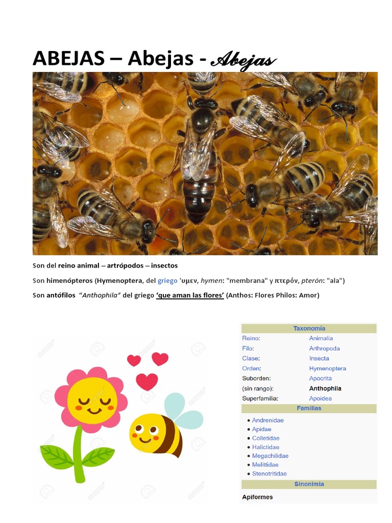Importancia de las Abejas y su Hábitat | PDF | Western Honey Bee | Abejas