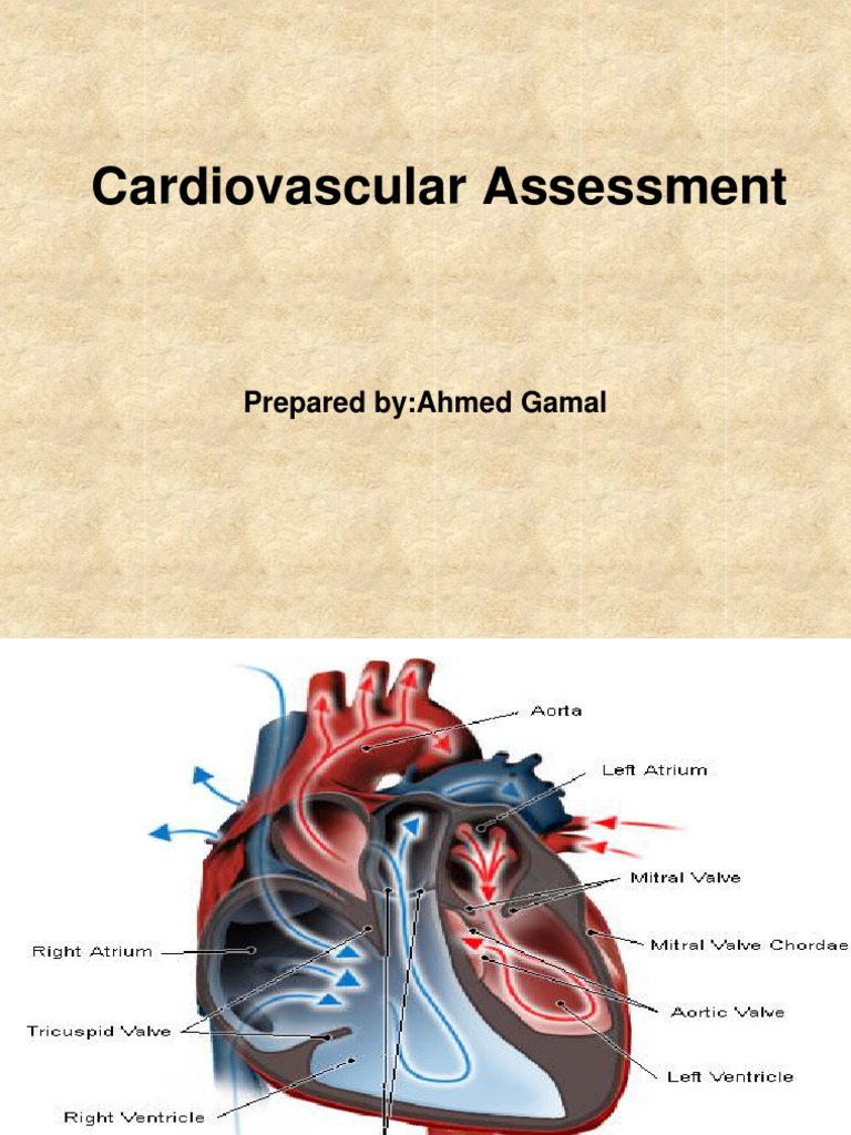 Cardiovascular Assessment-Part 1 | PDF | Heart | Heart Valve
