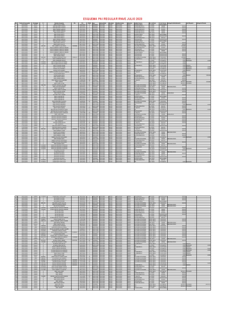 Esquema Regular PAI | PDF