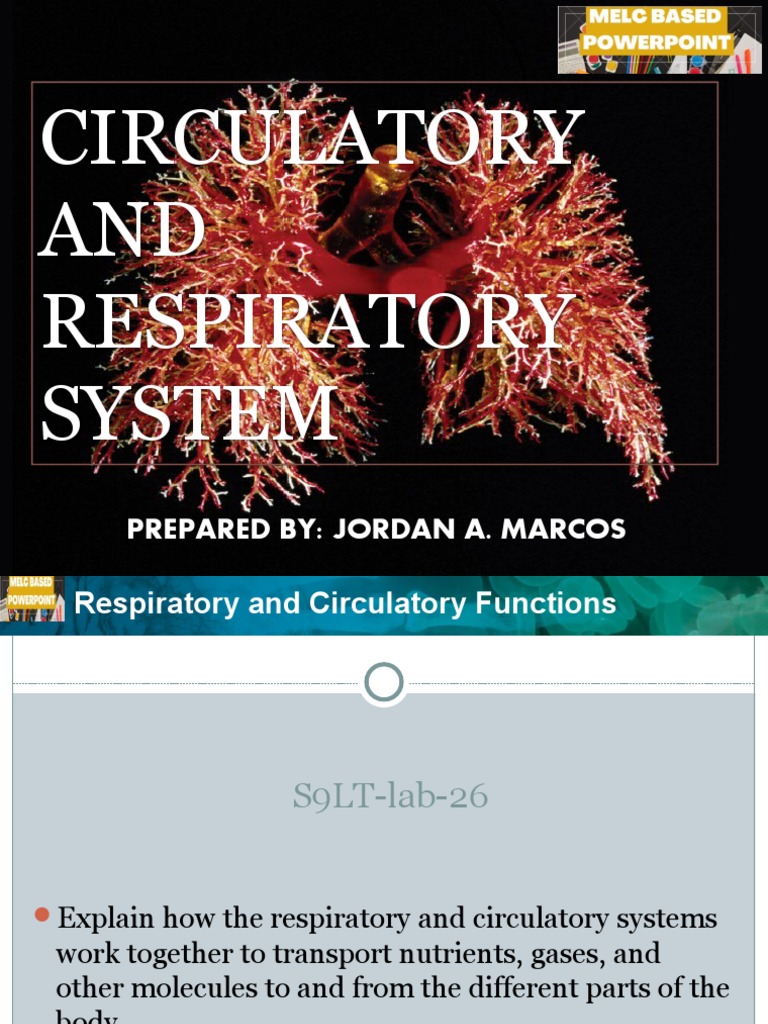 Respiratory Circulatory System | PDF | Respiratory System | Blood