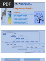 Animal Kingdom NCERT | PDF