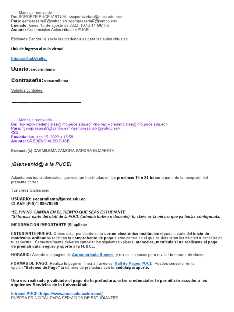 Accesos PUCE Virtual | PDF