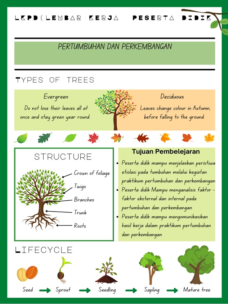 LKPD Praktikum Pertumbuhan Dan Perkembangan | PDF