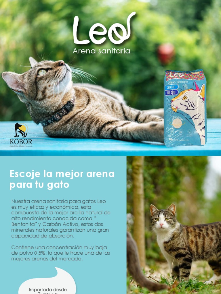 Catalogo Arena Leo2 Pdf