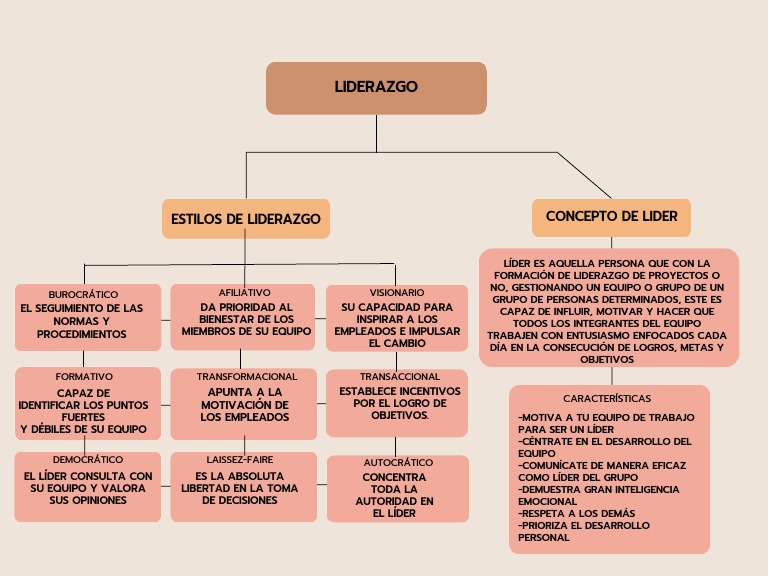 Mapa Conceptual Liderazgo | PDF | Liderazgo | Ciencia cognitiva