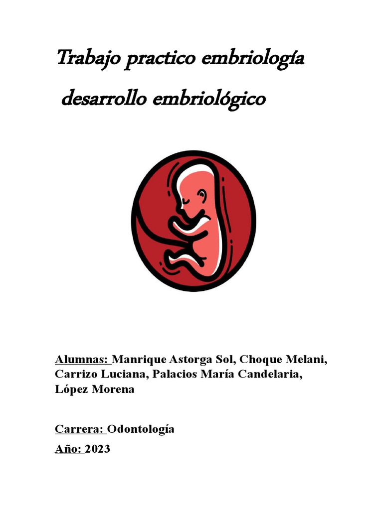 Desarrollo embrionario humano y fases | PDF | Embrión | Placenta