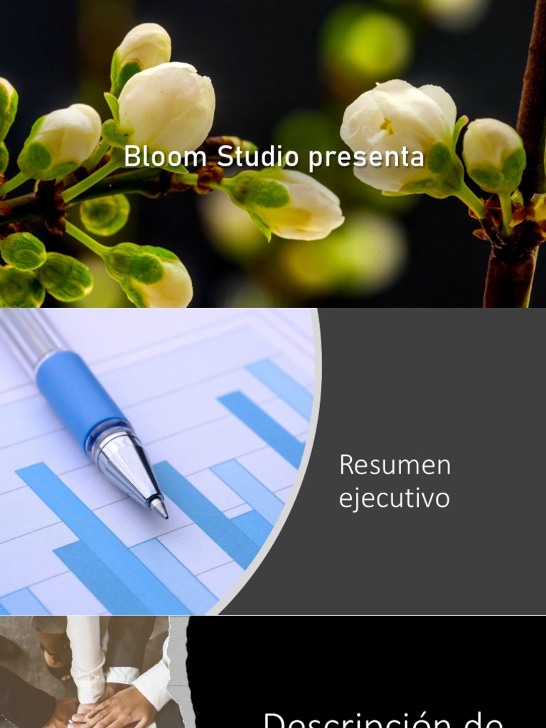 Bloom Studio Presentación | PDF