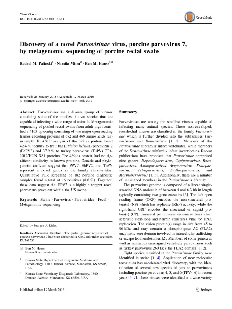 Parvovirus Porcino 7 | PDF