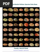 AutoCAD - Text Symbols and Special Characters Reference | PDF ...