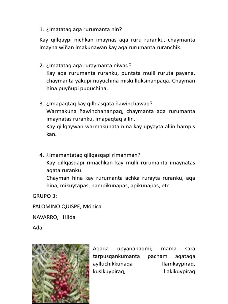 Quechuaaa Domingo | PDF