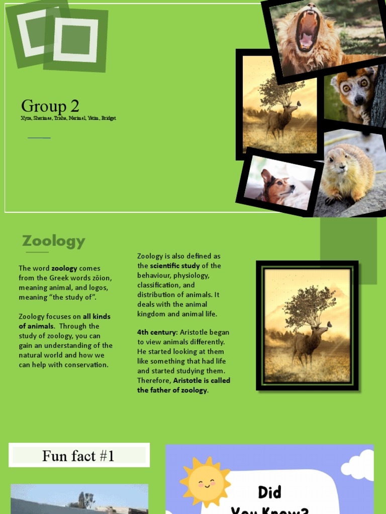 Introduction to Zoology and Fun Facts | PDF