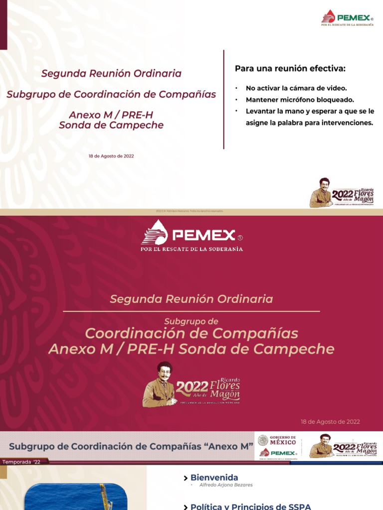 18.08.22 Subgrupo Coordinacion de Compañias Anexo M - Preh | PDF