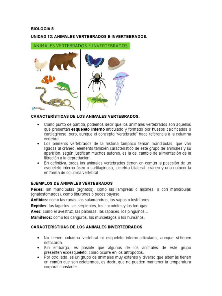 Características de Vertebrados e Invertebrados | PDF