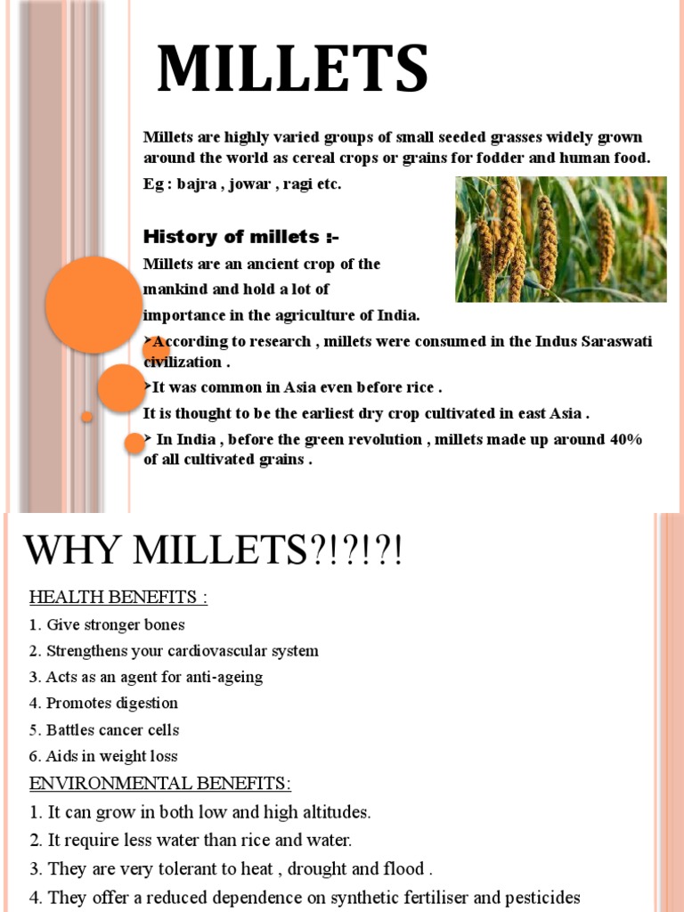 Millets | PDF | Cereals | Rice
