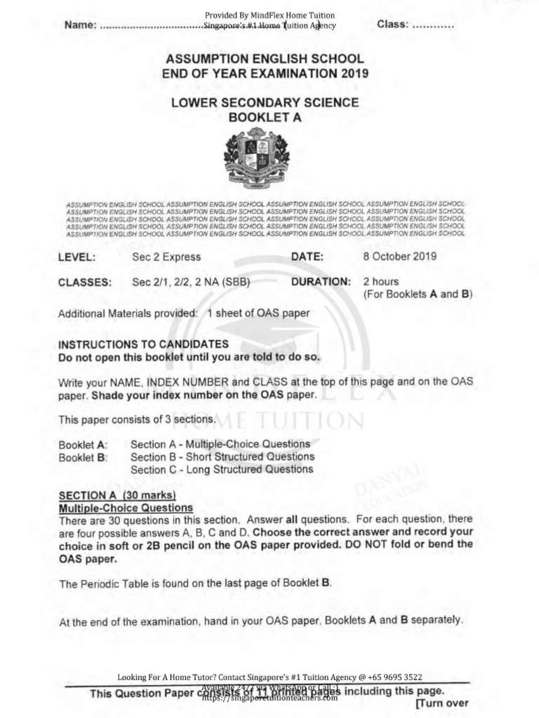 Assumption English School 2019 Sec 2 SA2 | PDF