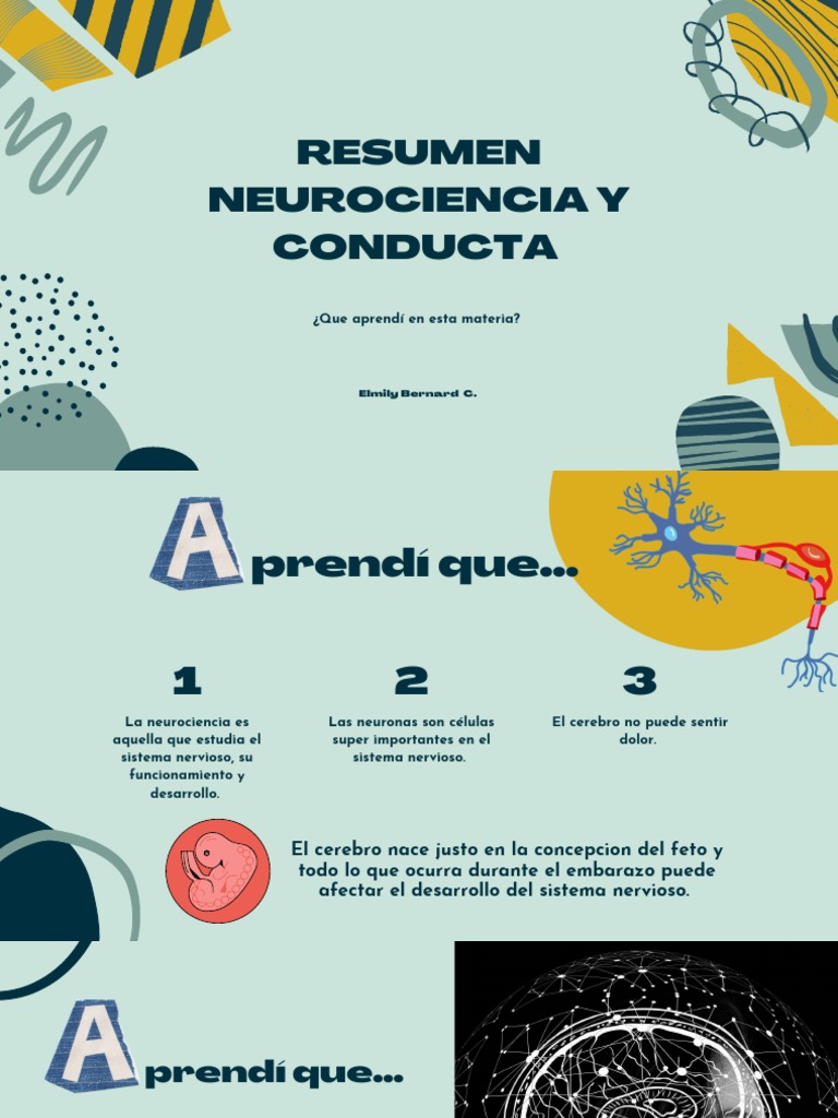 Neurociencia: Desarrollo y Conducta | PDF