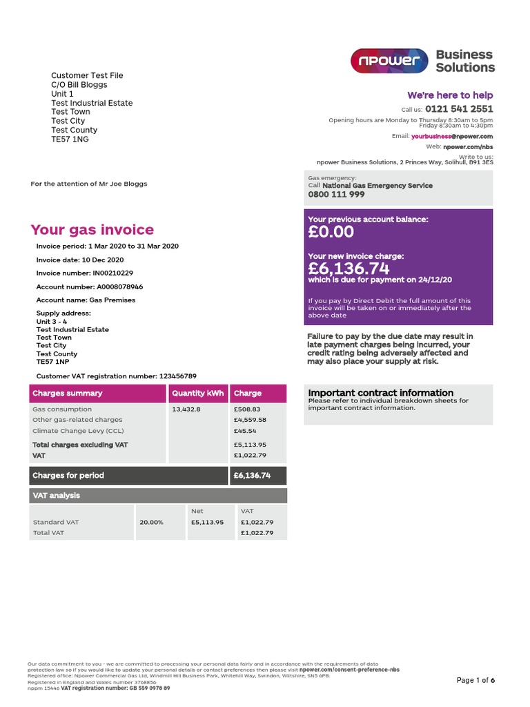 Npower Gas Invoice Summary | PDF