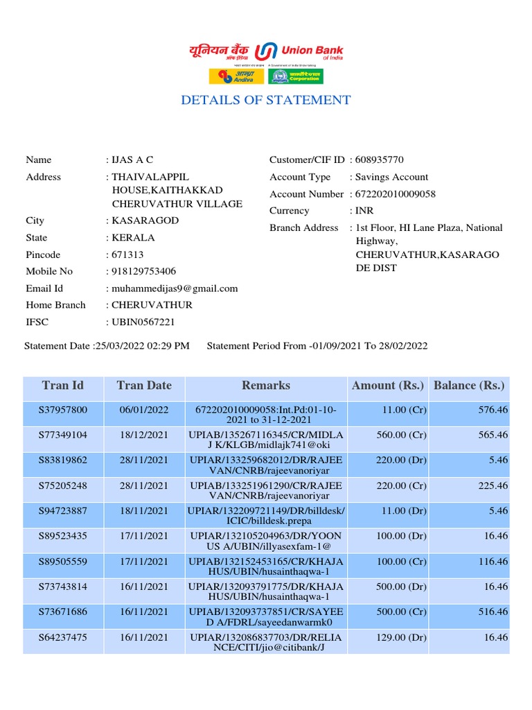 Bank Statement Summary | PDF