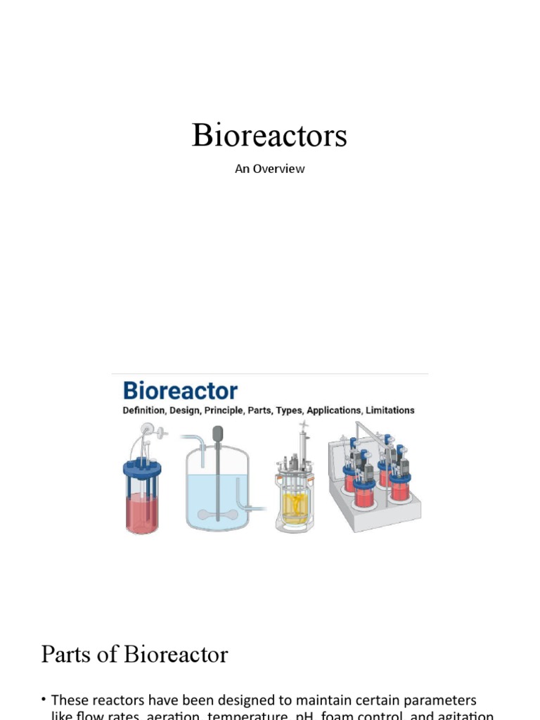 Bio Reactors | PDF
