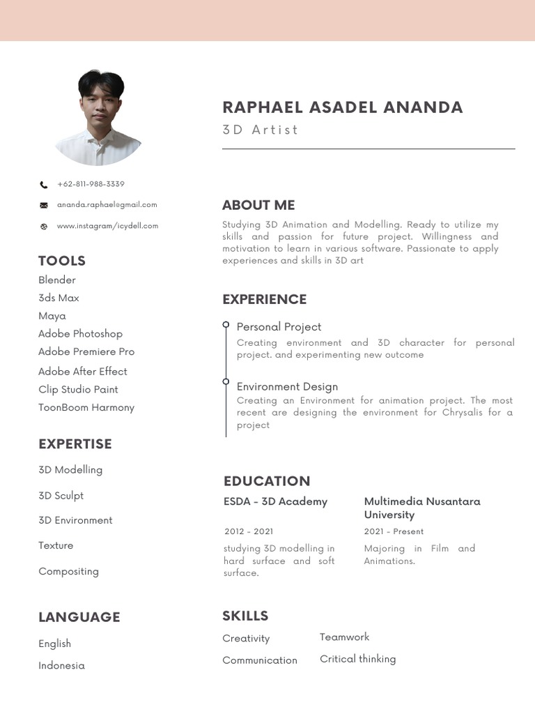 Raphael Asadel Ananda - CV | PDF