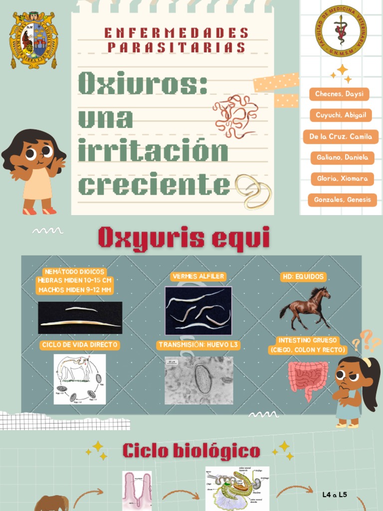 Oxiuros Expo | PDF | Enfermedades y trastornos | Animales y humanos