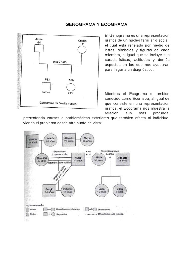 Genograma y Ecograma: Definición y Uso | PDF