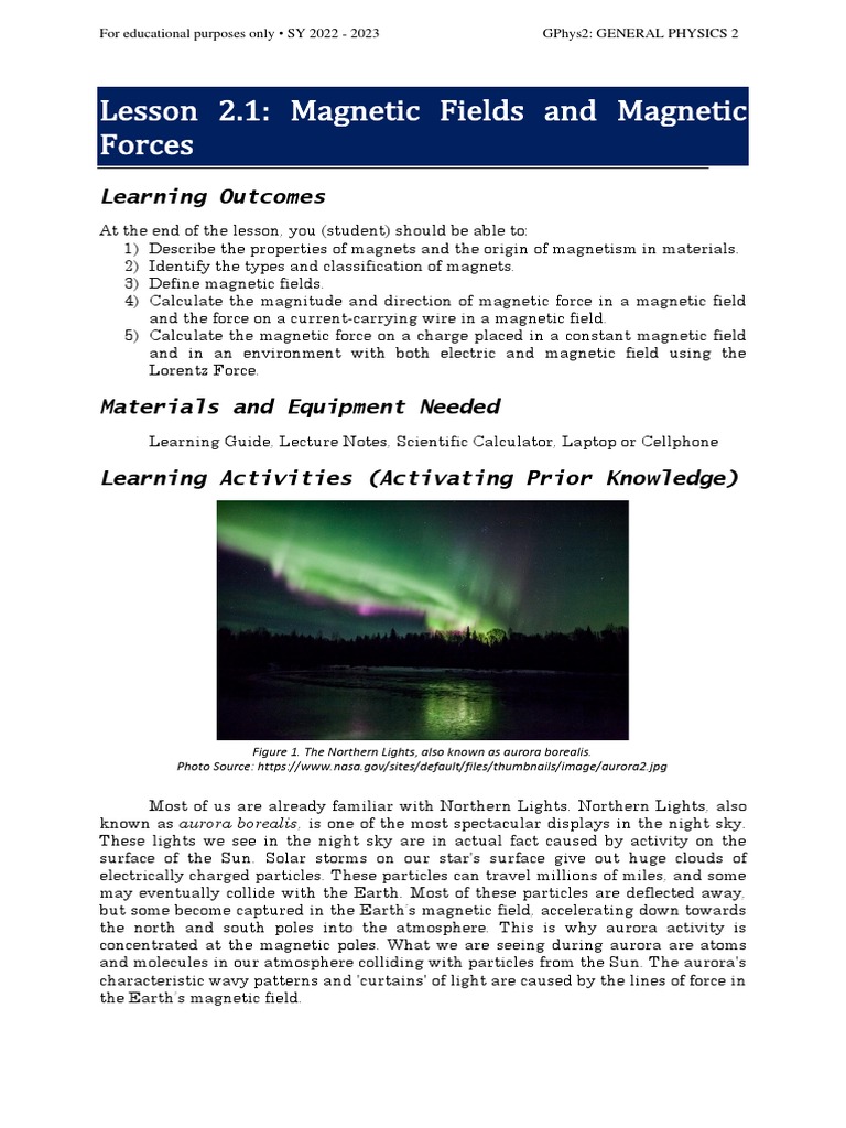 Understanding Magnetic Fields and Forces | PDF | Magnetic Field | Magnet