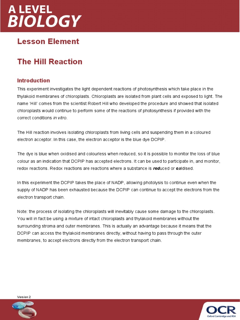 The Hill Reaction Activity | PDF