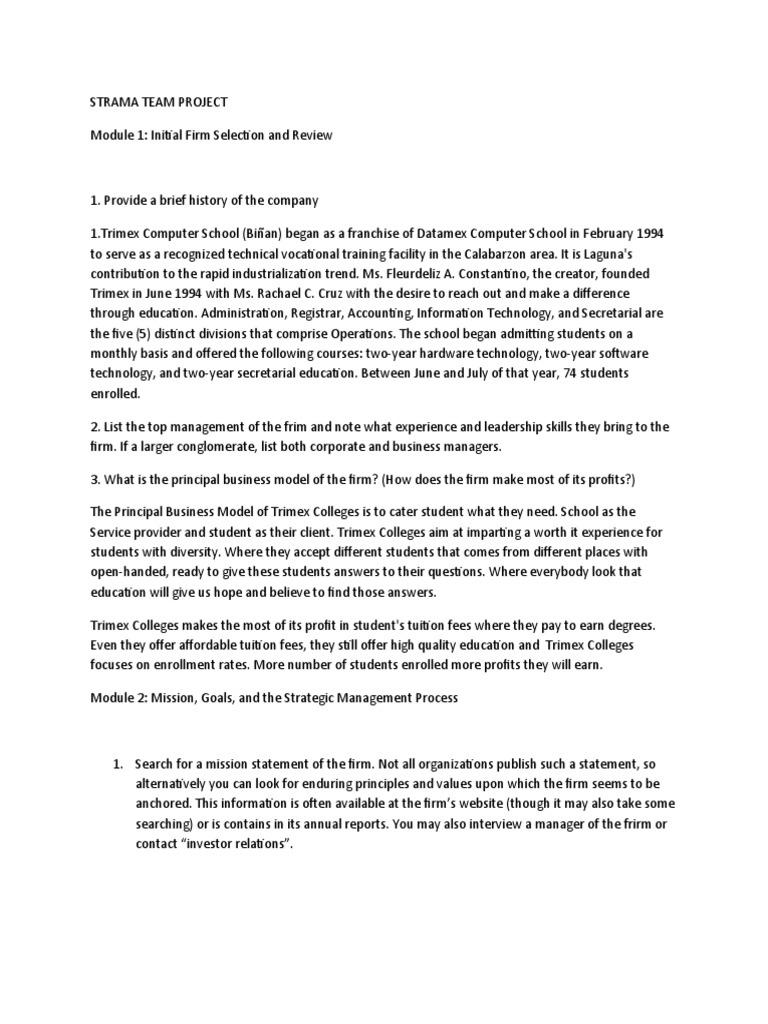 Strama Team Project | PDF | Strategic Management | Competitive Advantage