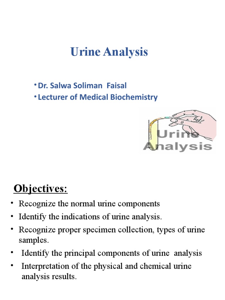 Urine Examination | PDF | Urine | Diabetes