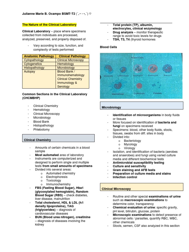 Clinical Laboratory Transes | Download Free PDF | Pathology ...