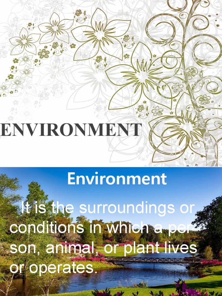 Environment Powerpoint | PDF