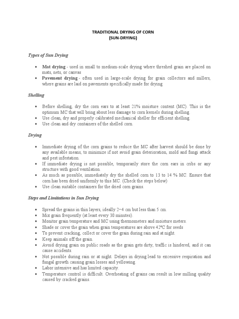 Traditional Sun Drying of Corn | PDF | Maize | Agriculture