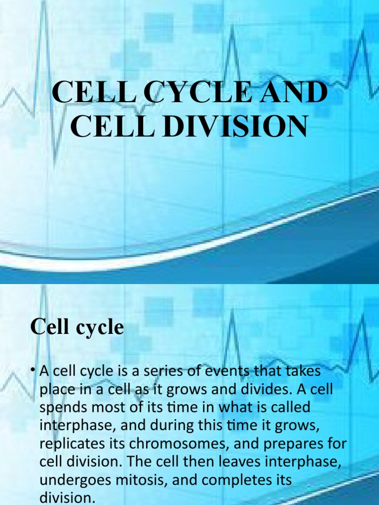 Cell Cycle | PDF | Mitosis | Meiosis
