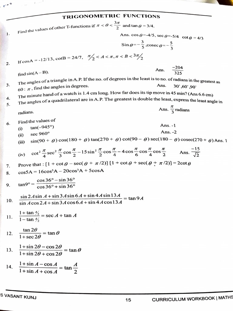 DPS Trig Workbook | PDF