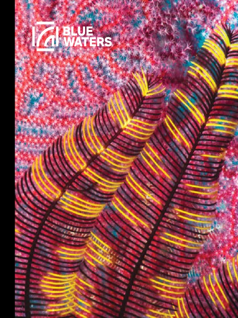 Bluewaters Residences Building 2 | PDF